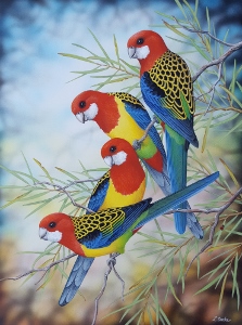 Lyn Cooke Artist – Specializing in Wildlife, Birds, Ballarat Victoria ...
