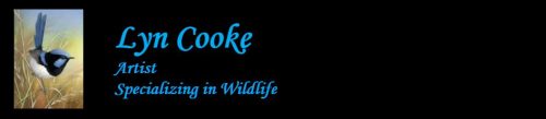 Lyn Cooke Artist – Specializing in Wildlife, Birds, Ballarat Victoria ...