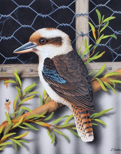 Paintings for Sale – Lyn Cooke Artist