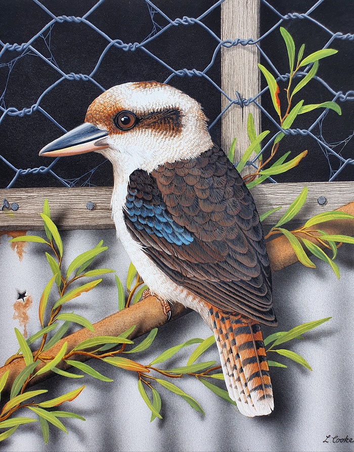 Paintings for Sale – Lyn Cooke Artist