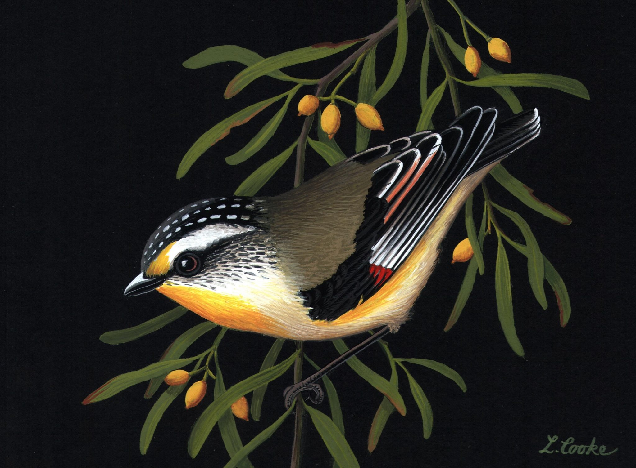 Paintings for Sale – Lyn Cooke Artist