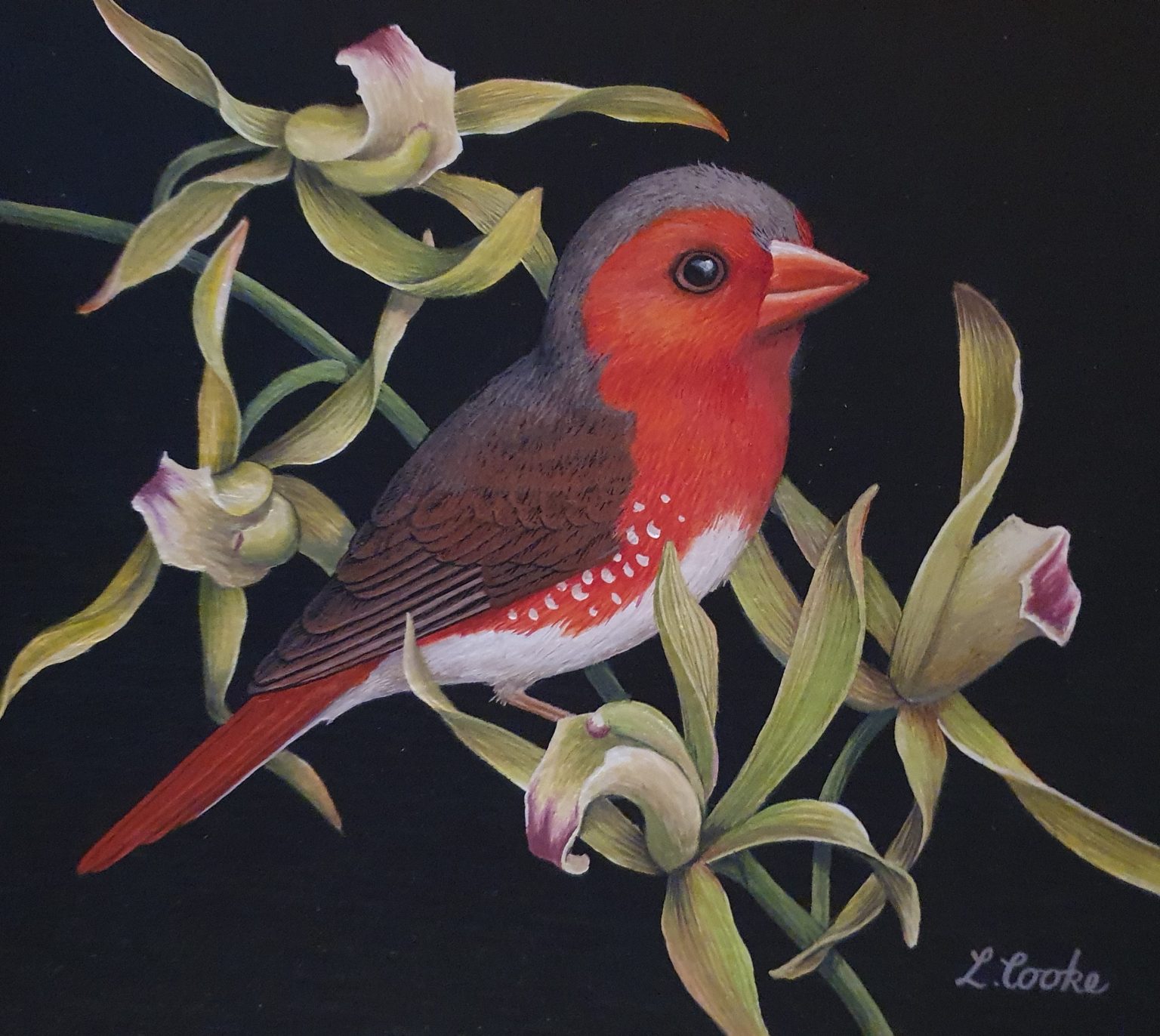 Paintings for Sale – Lyn Cooke Artist