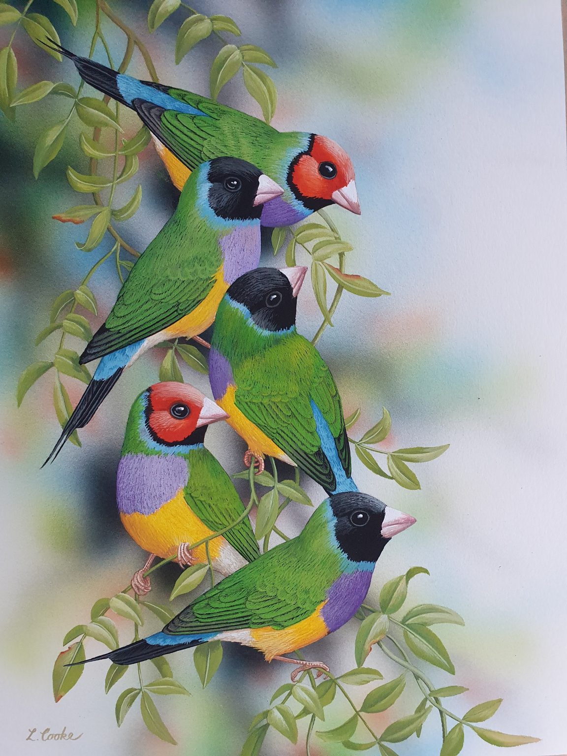 Paintings for Sale – Lyn Cooke Artist