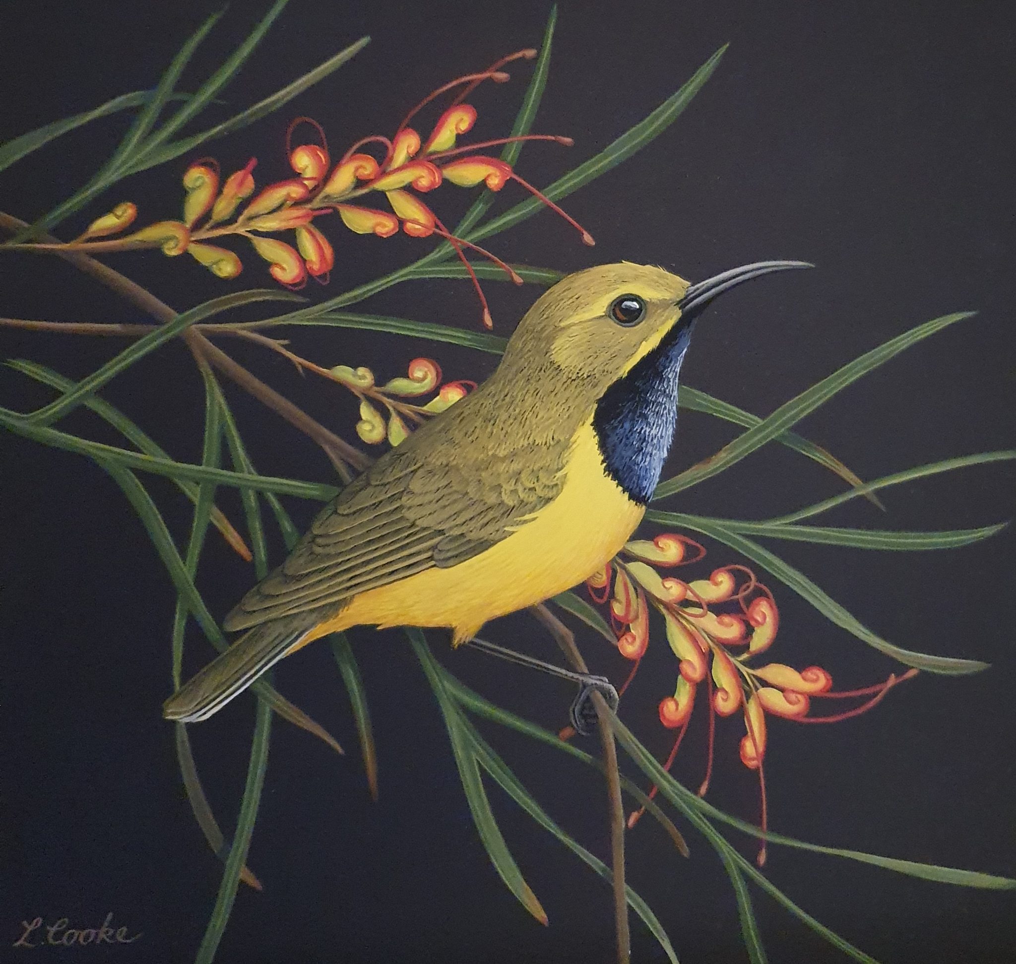 Paintings for Sale – Lyn Cooke Artist