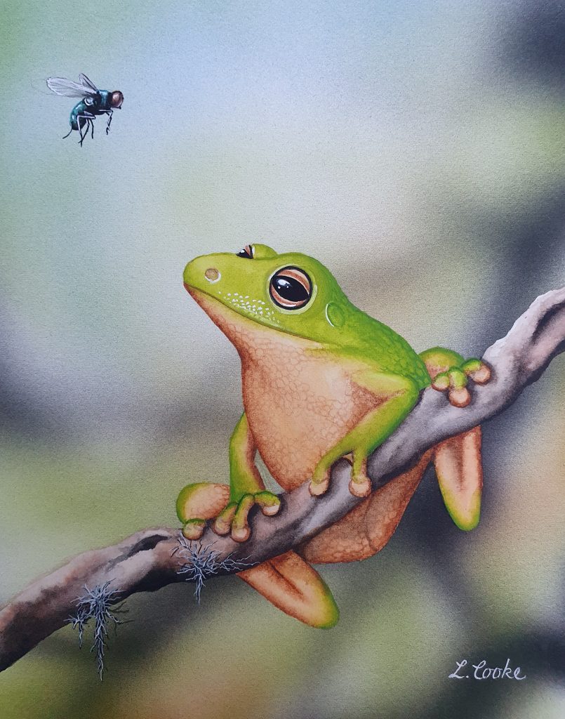 Paintings for Sale – Lyn Cooke Artist