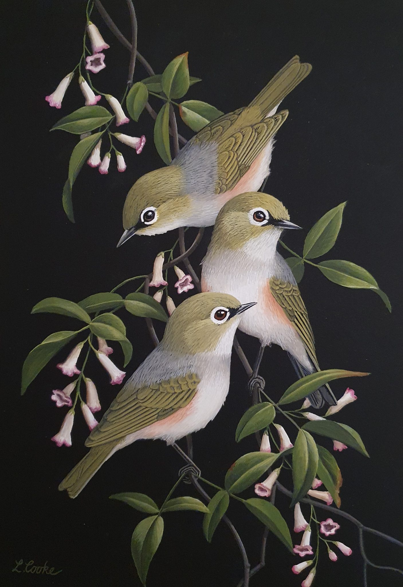 Paintings for Sale – Lyn Cooke Artist