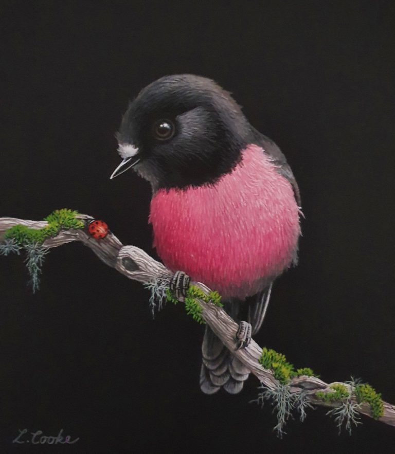 Paintings for Sale – Lyn Cooke Artist