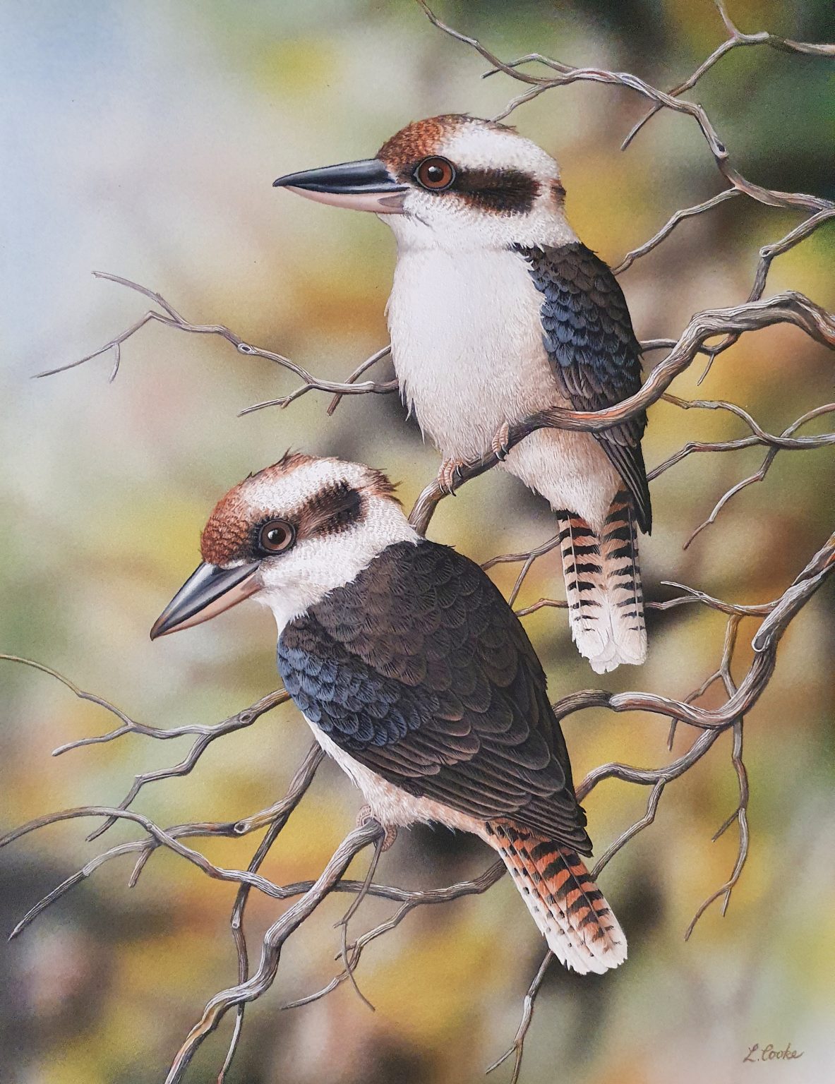 Paintings for Sale – Lyn Cooke Artist