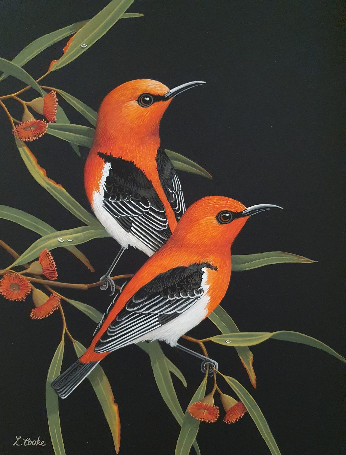 Paintings for Sale – Lyn Cooke Artist