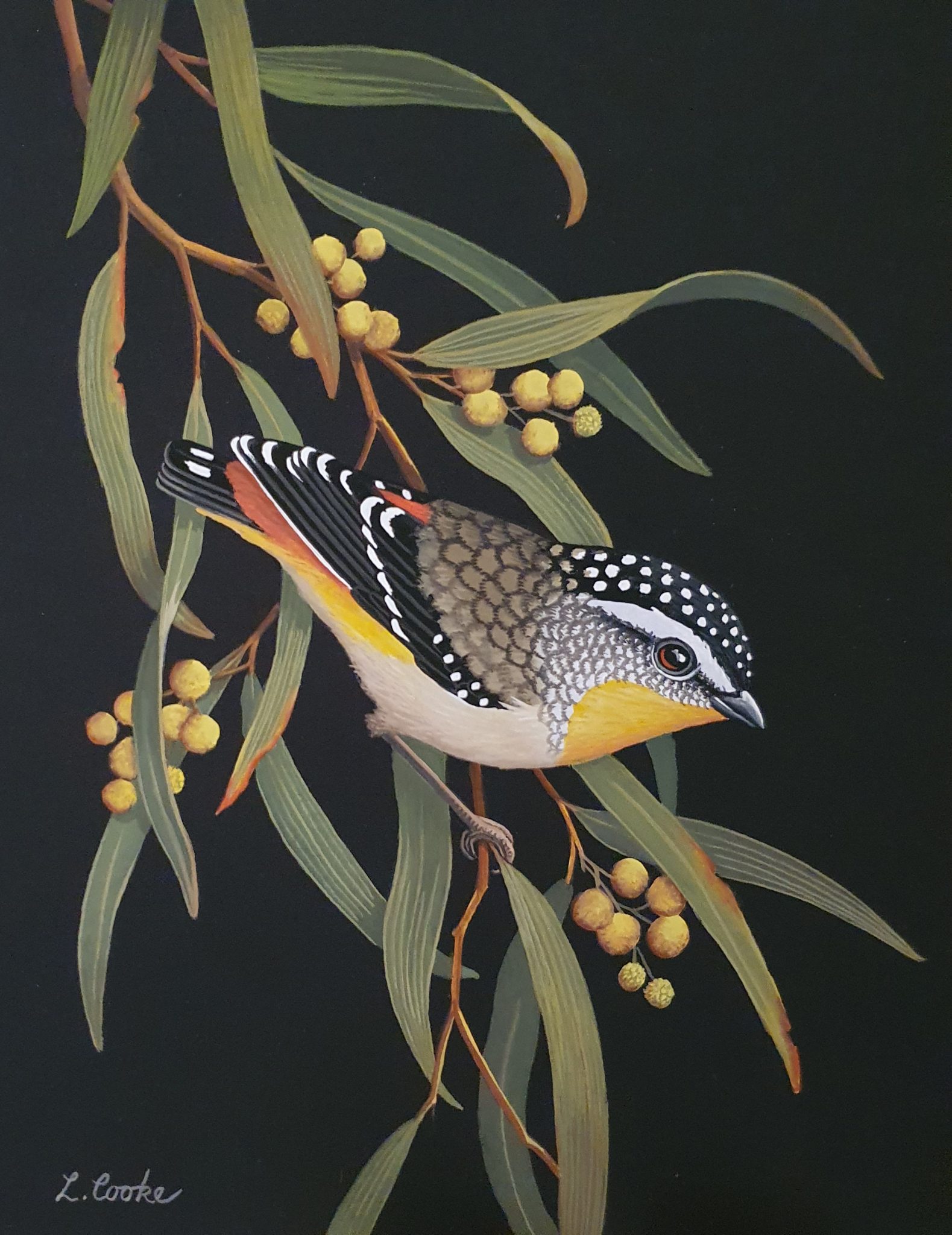 Paintings for Sale – Lyn Cooke Artist