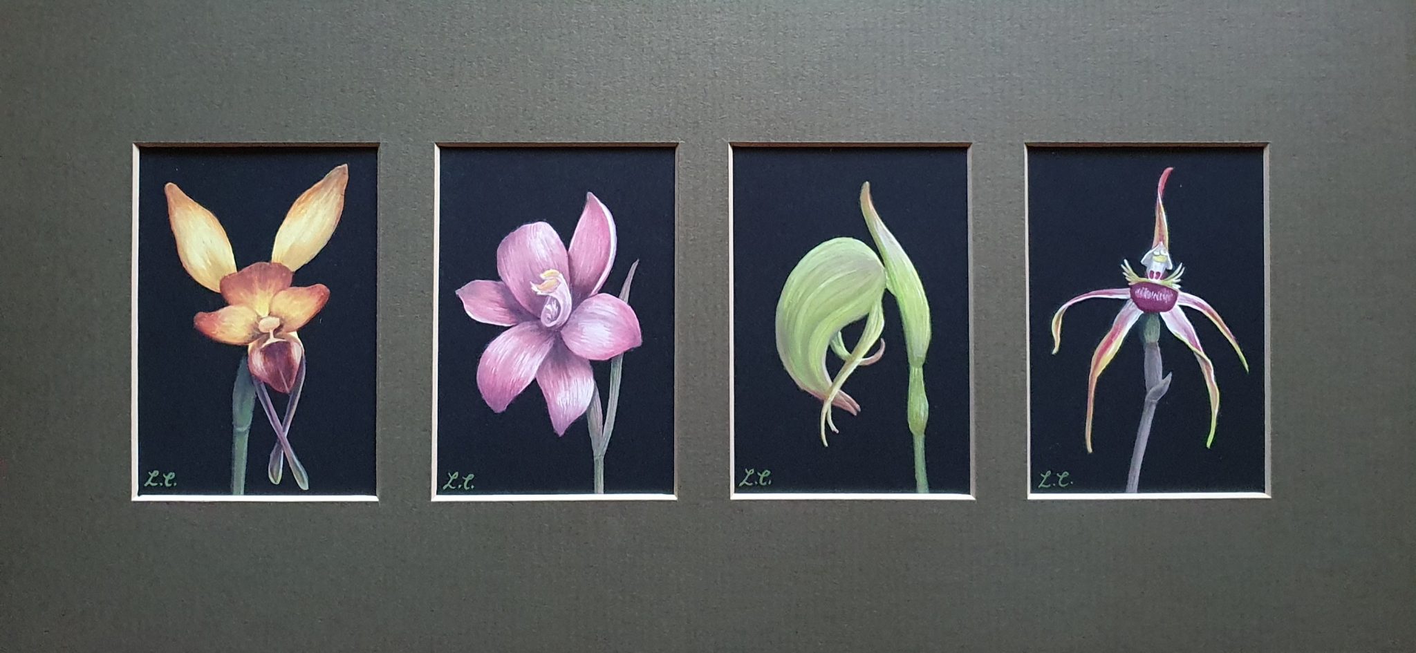 Paintings for Sale – Lyn Cooke Artist