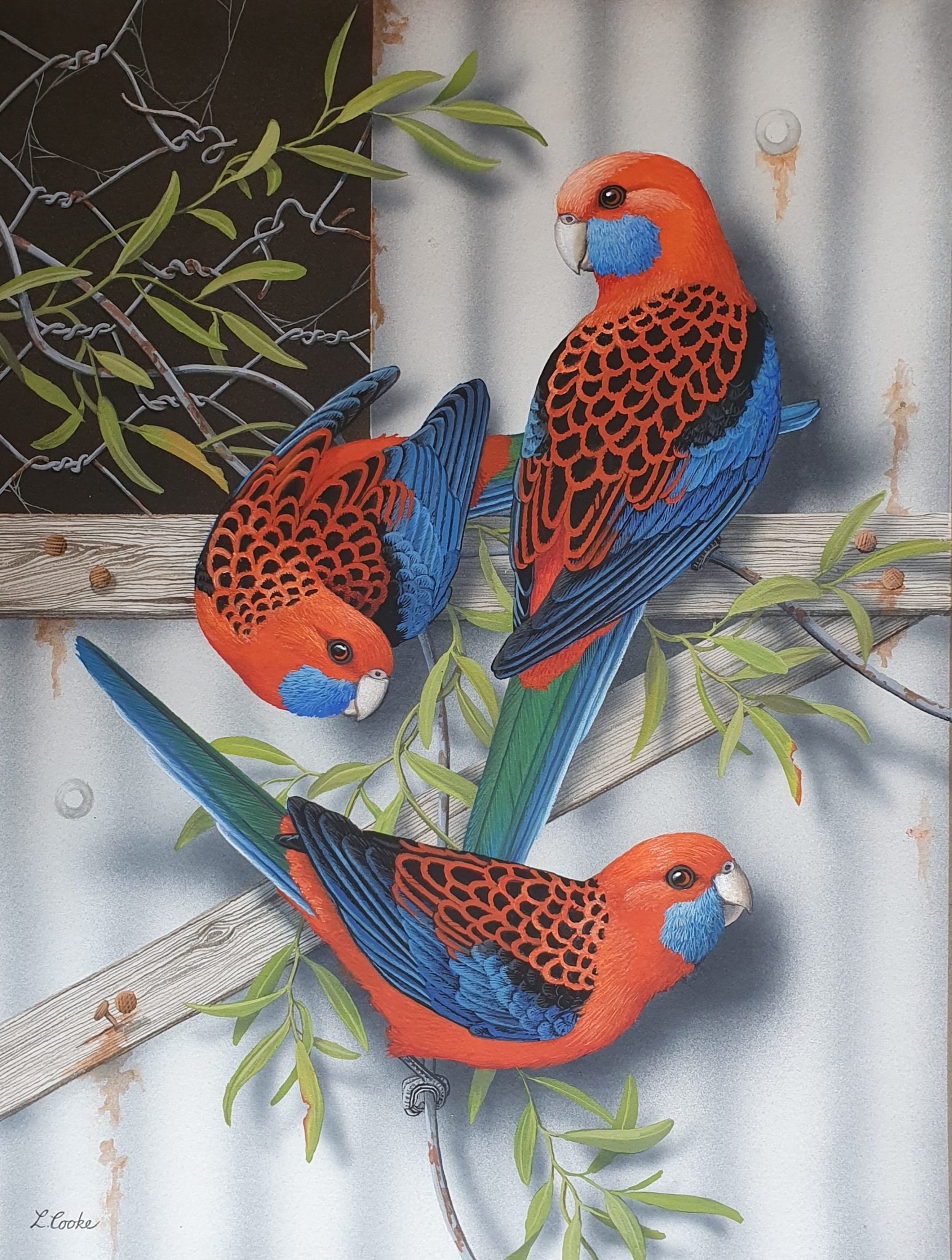 Paintings for Sale – Lyn Cooke Artist