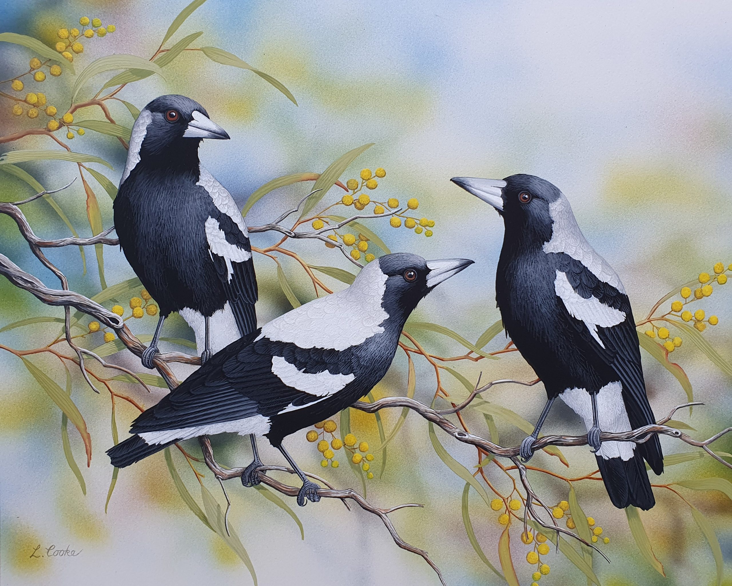 Paintings for Sale – Lyn Cooke Artist