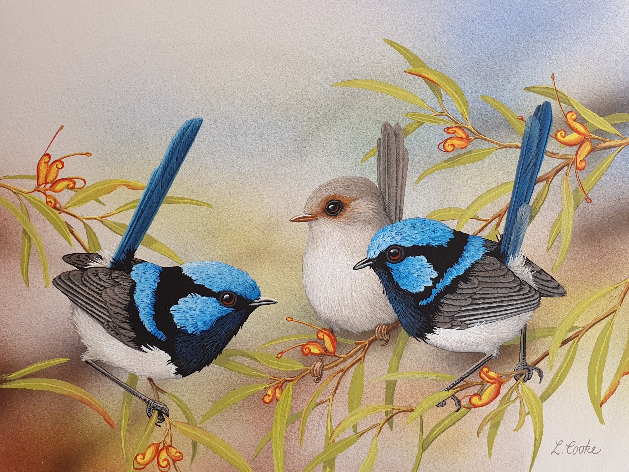 Paintings for Sale – Lyn Cooke Artist