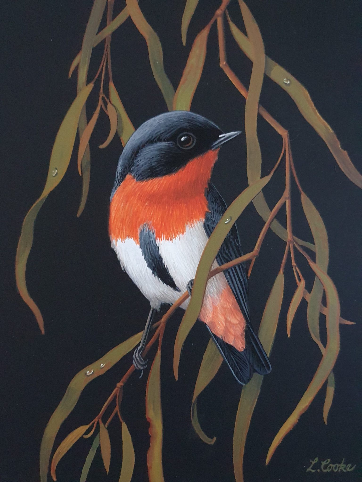 Paintings for Sale – Lyn Cooke Artist