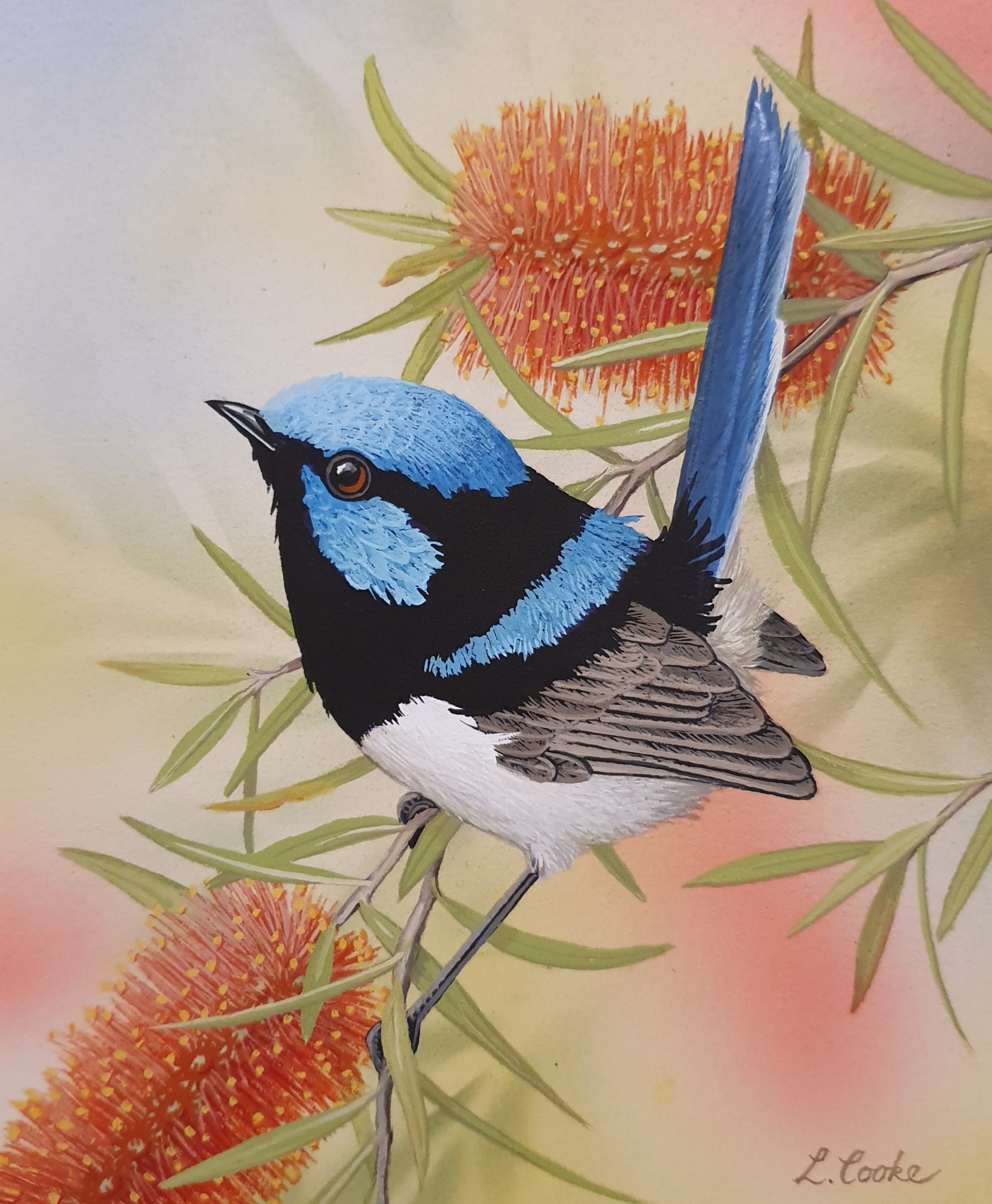 Paintings for Sale – Lyn Cooke Artist