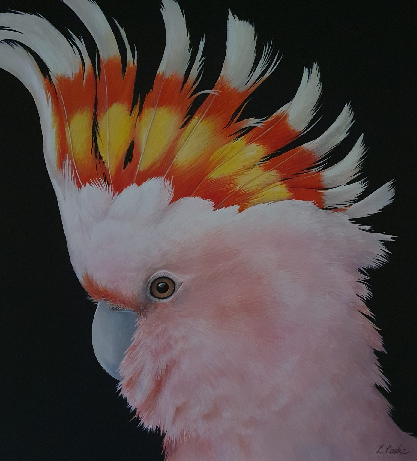 Paintings for Sale – Lyn Cooke Artist