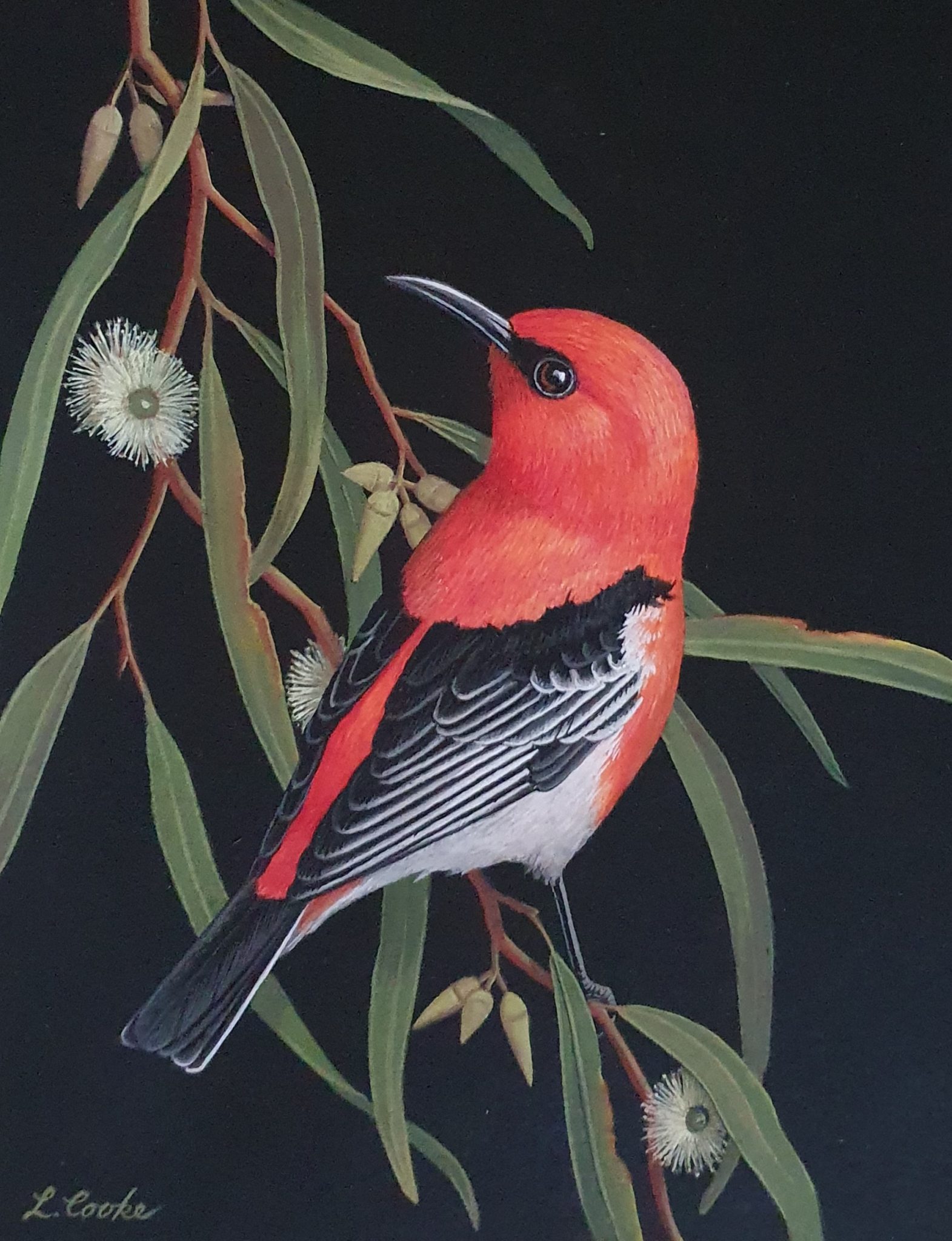 Paintings for Sale – Lyn Cooke Artist