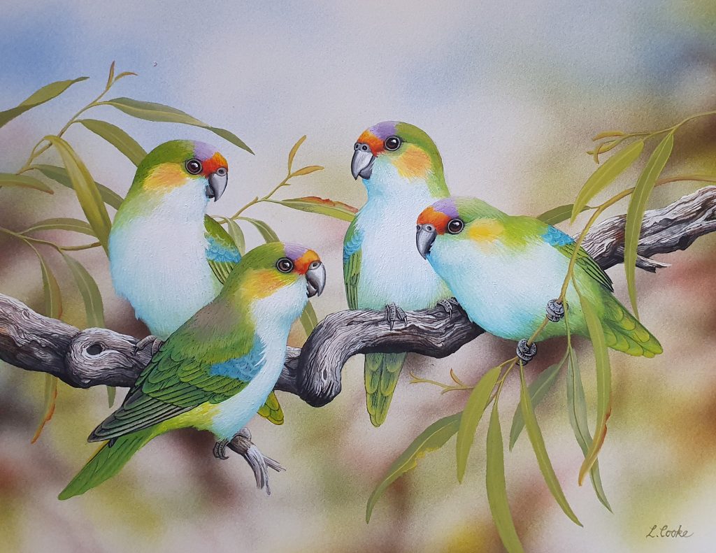 Paintings for Sale – Lyn Cooke Artist