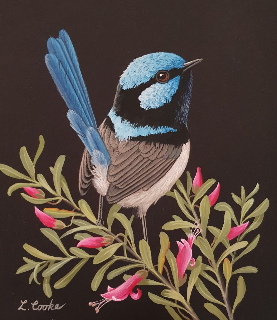 Paintings for Sale – Lyn Cooke Artist