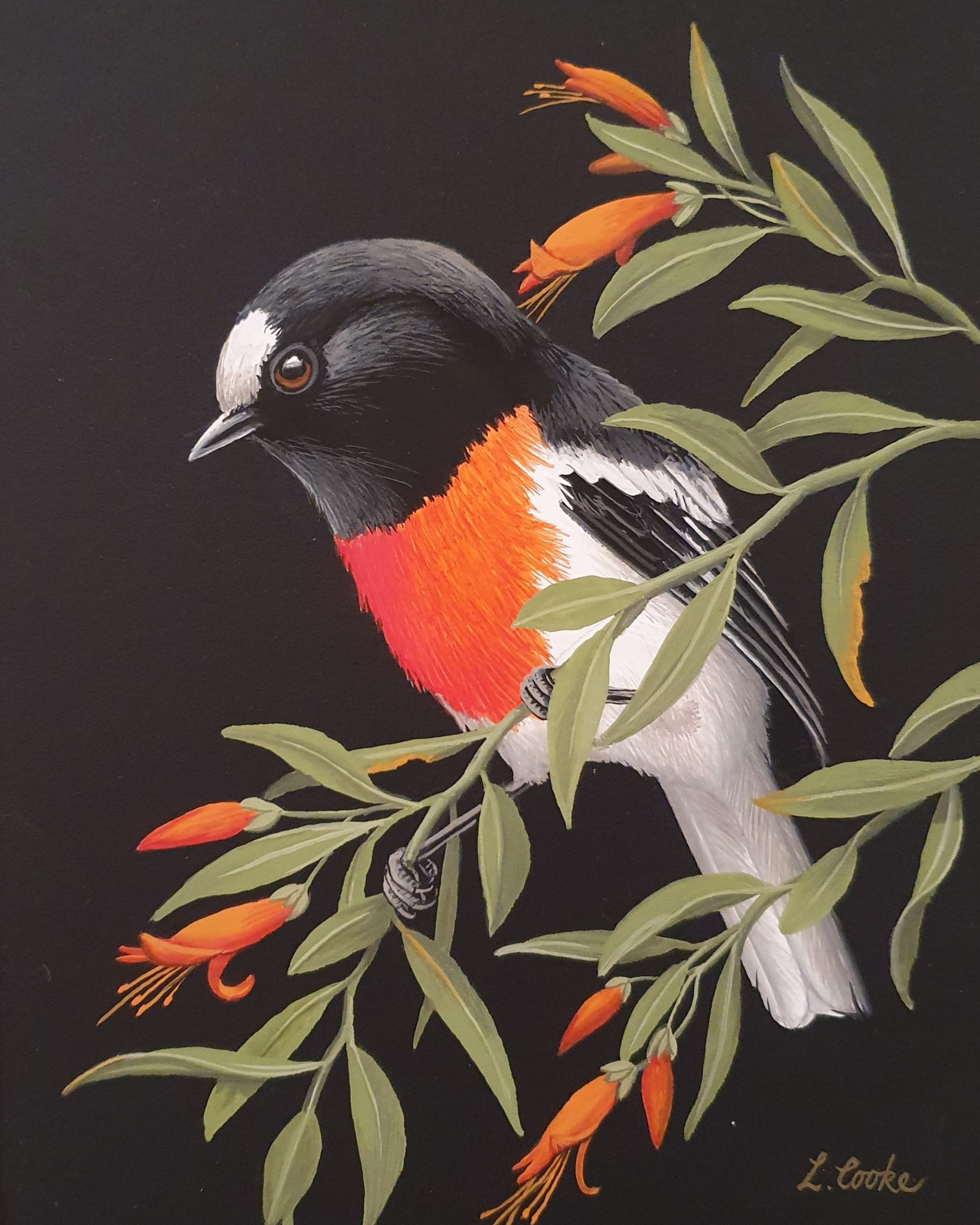 Paintings for Sale – Lyn Cooke Artist