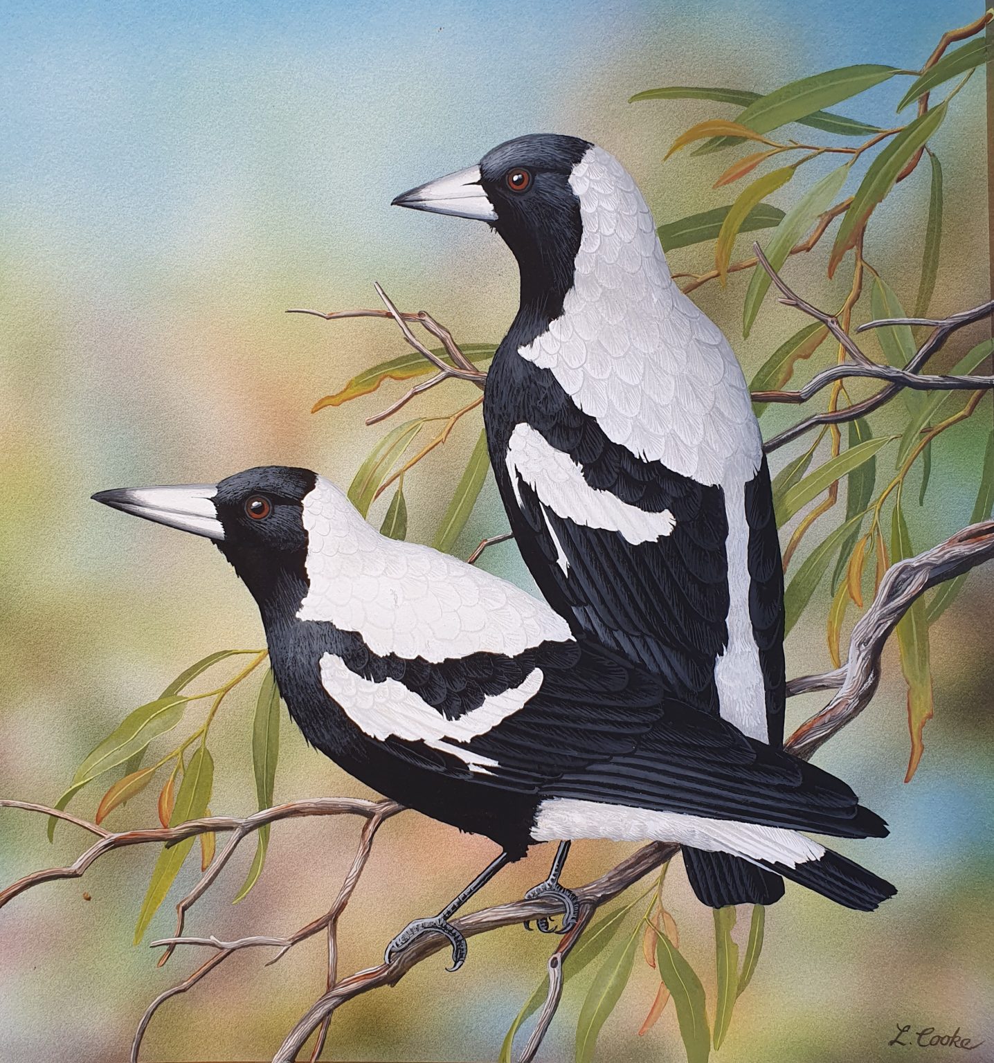 Paintings for Sale – Lyn Cooke Artist