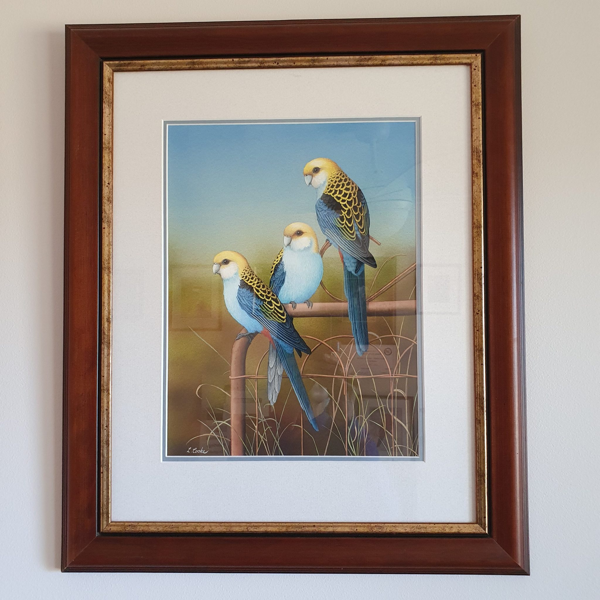 Paintings for Sale – Lyn Cooke Artist