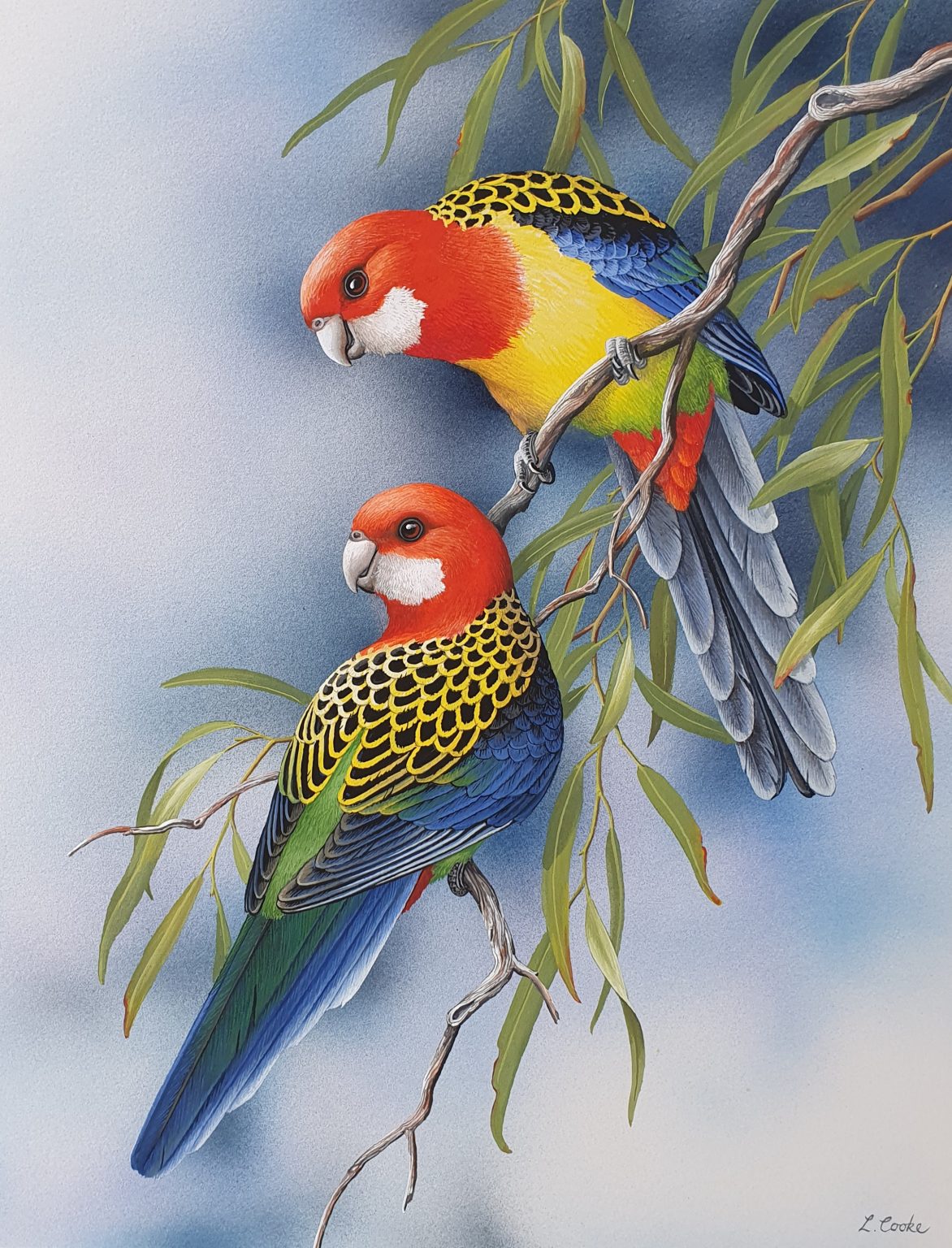 Paintings for Sale – Lyn Cooke Artist