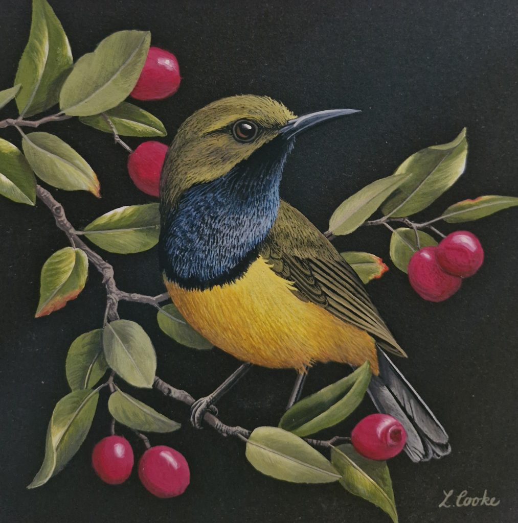 Paintings for Sale – Lyn Cooke Artist