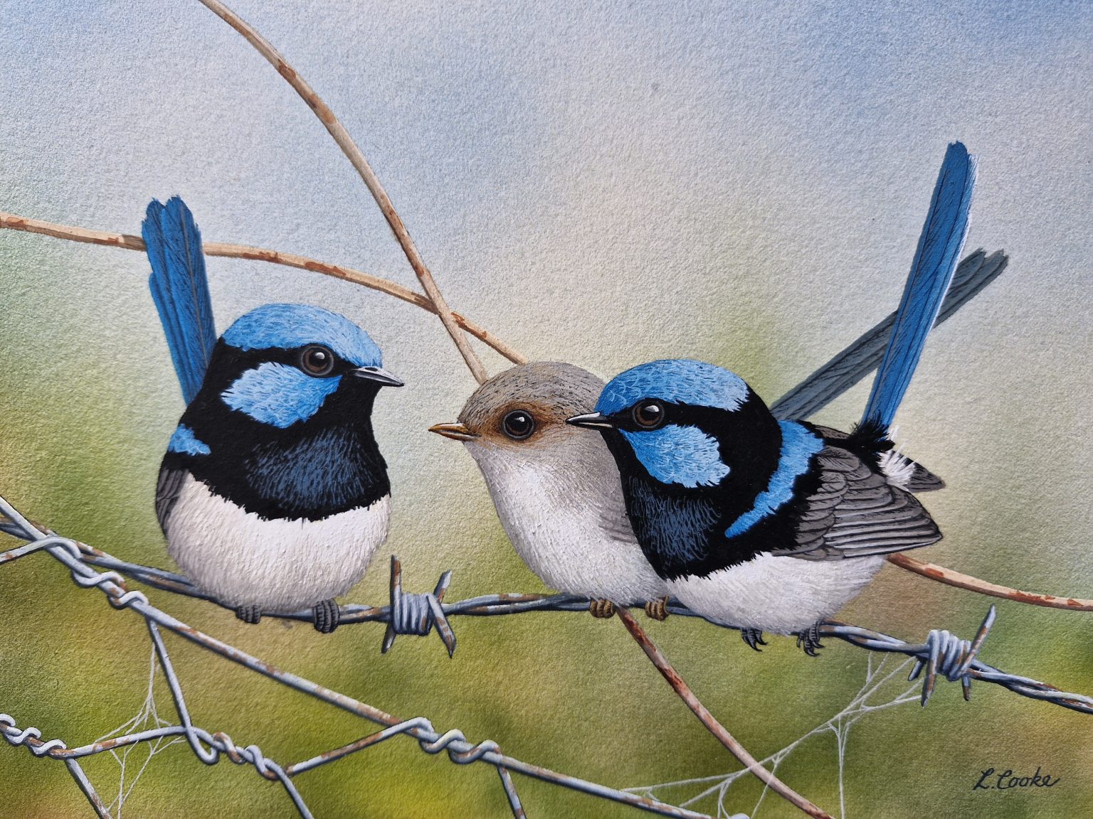 Paintings for Sale – Lyn Cooke Artist