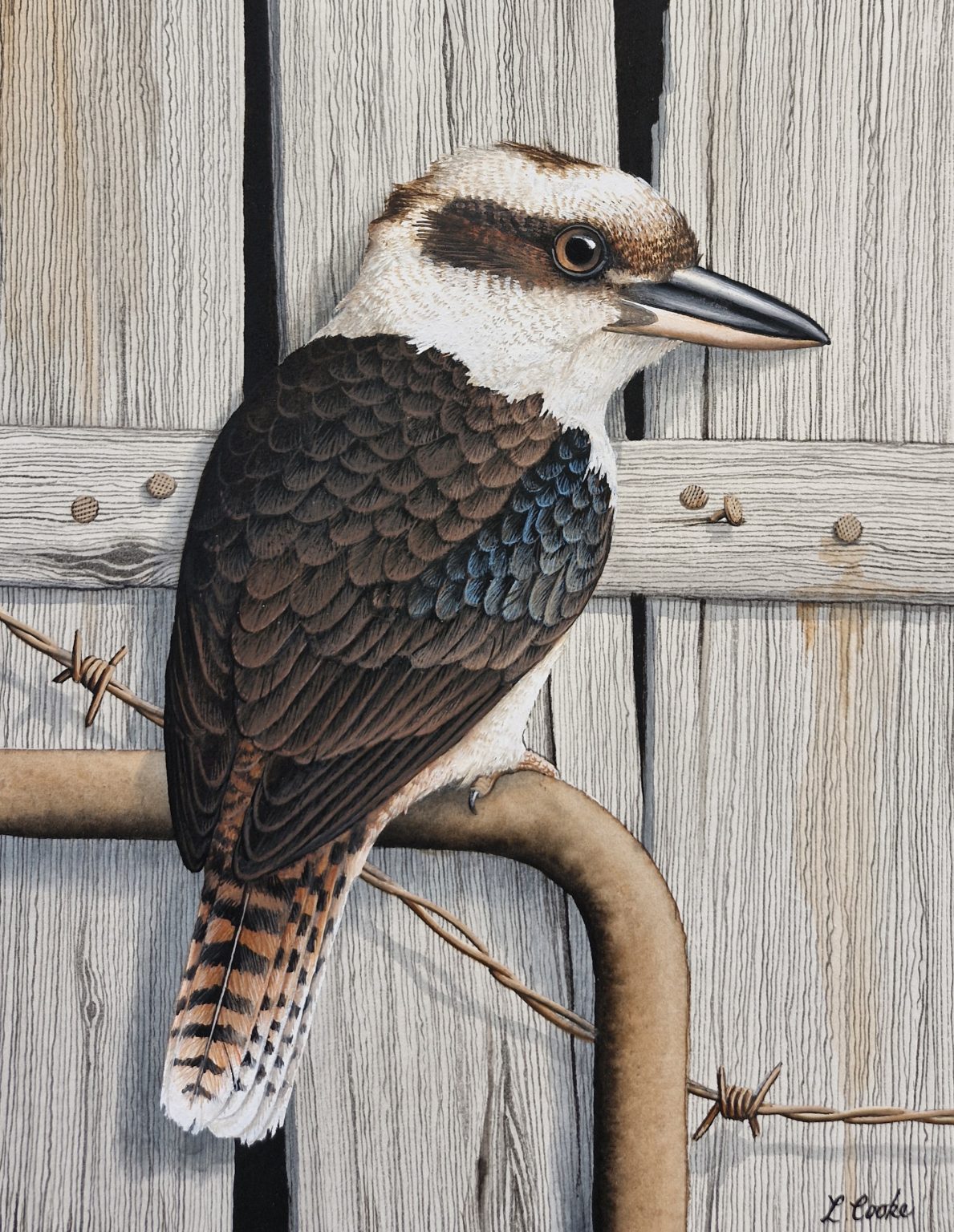 Paintings for Sale – Lyn Cooke Artist