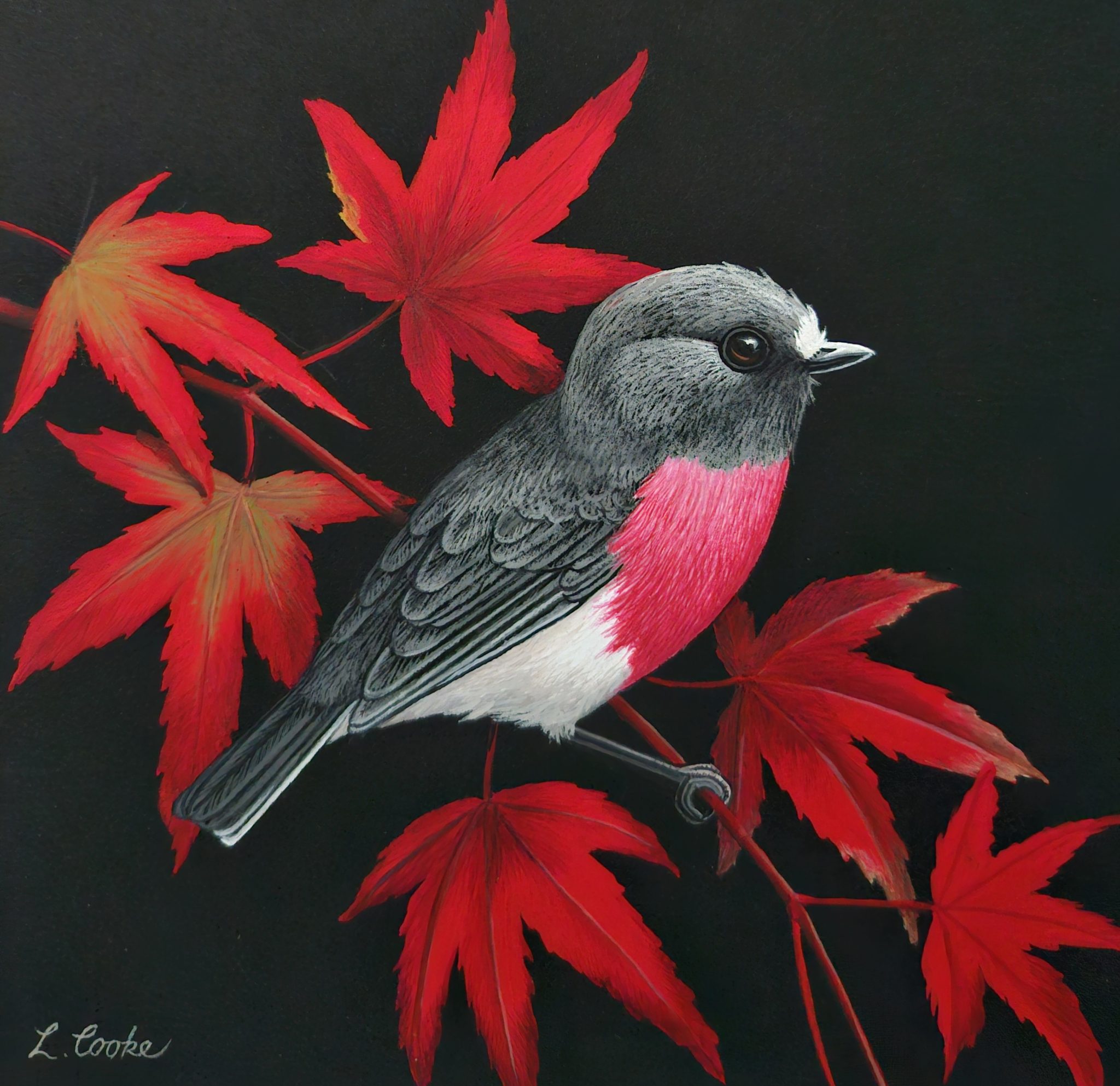 Paintings for Sale – Lyn Cooke Artist