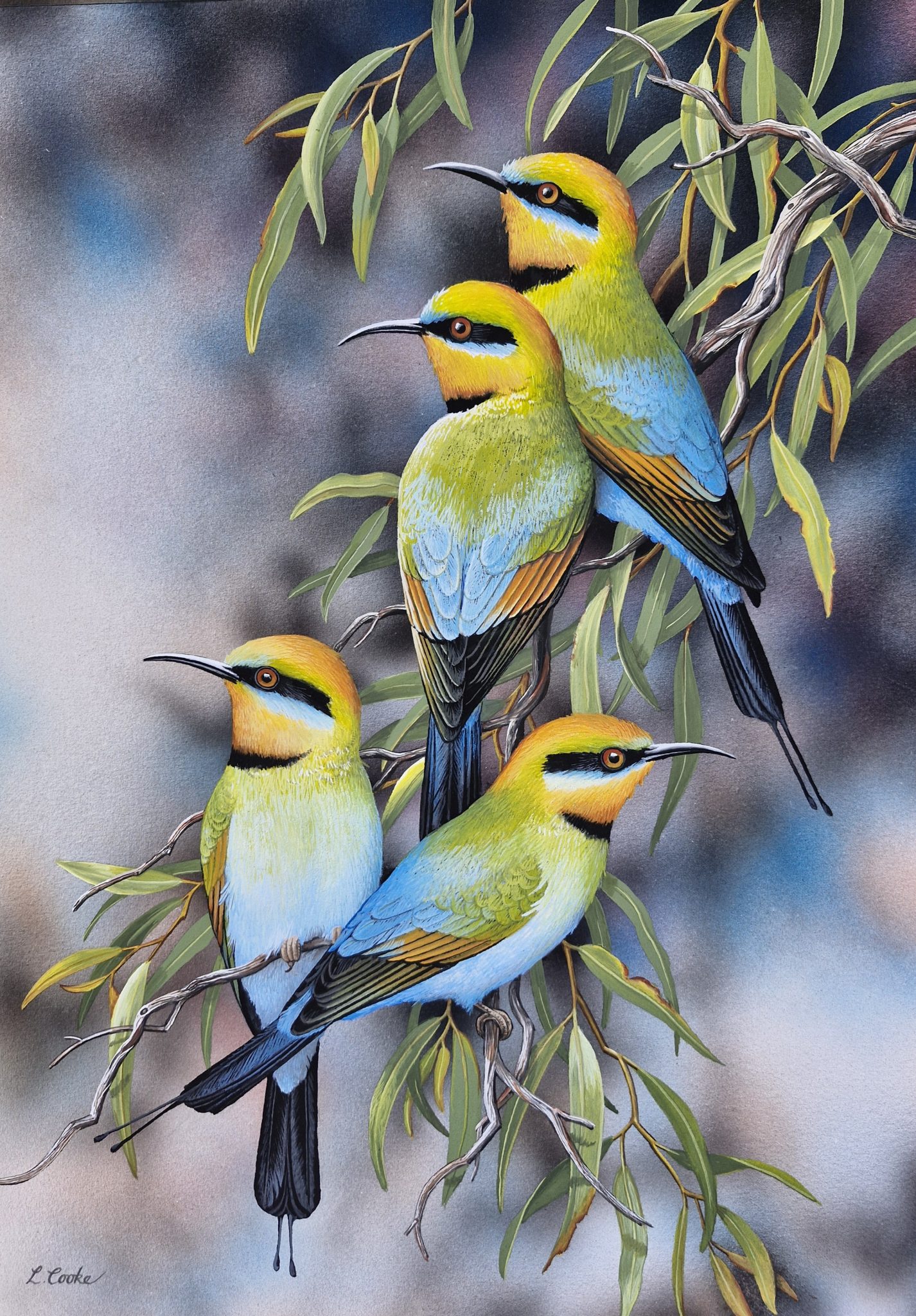 Paintings for Sale – Lyn Cooke Artist