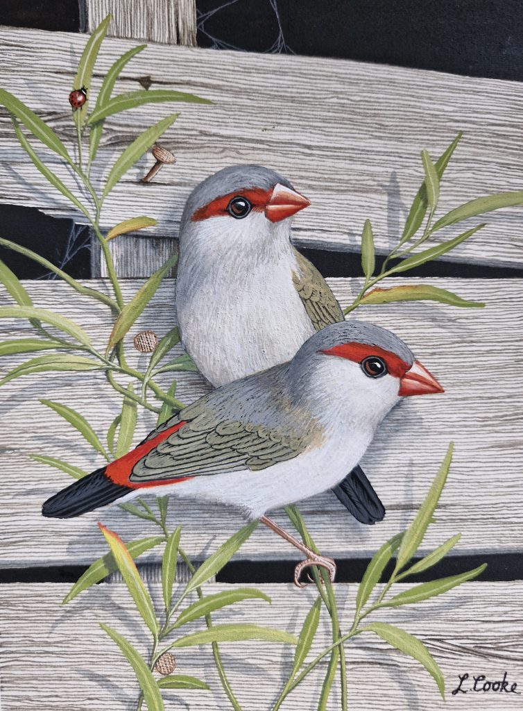 Paintings for Sale – Lyn Cooke Artist