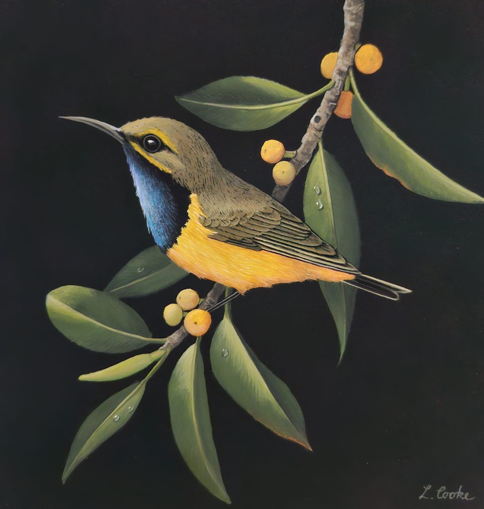 Paintings for Sale – Lyn Cooke Artist