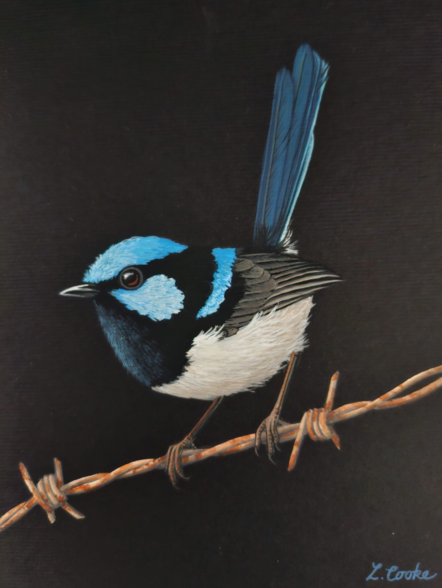 Paintings for Sale – Lyn Cooke Artist